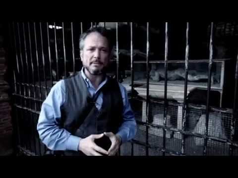 History of Christianity and Western Civilization Course