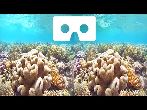 3D VR SBS Google Cardboard Great Barrier Reef Cairns Australia not 360°