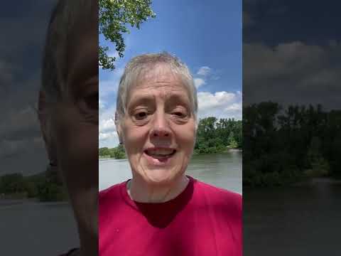 Fair Use Factor 3 of 4