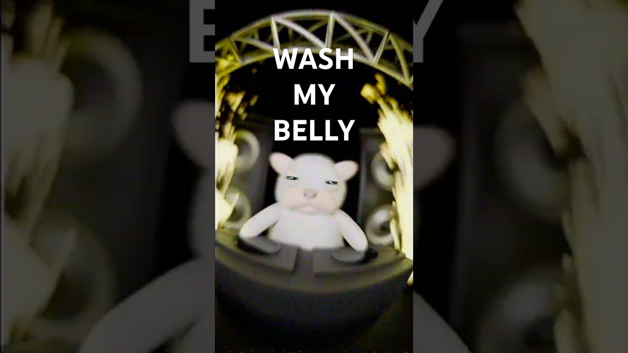 RIP Pibble #washmybelly #pibble #b3d