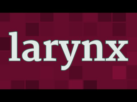 LARYNX pronunciation • How to pronounce LARYNX