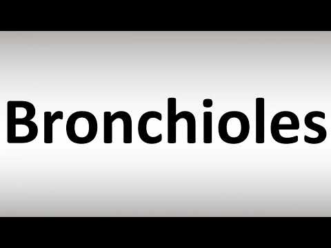 How to Pronounce Bronchioles