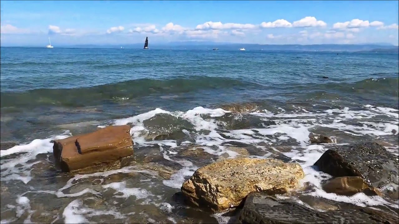 BEACH INTRO TEMPLATE #28 | NO COPYRIGHT