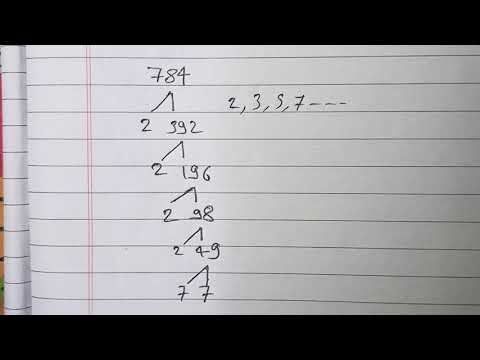 factor tree of 784 | prime factor tree |