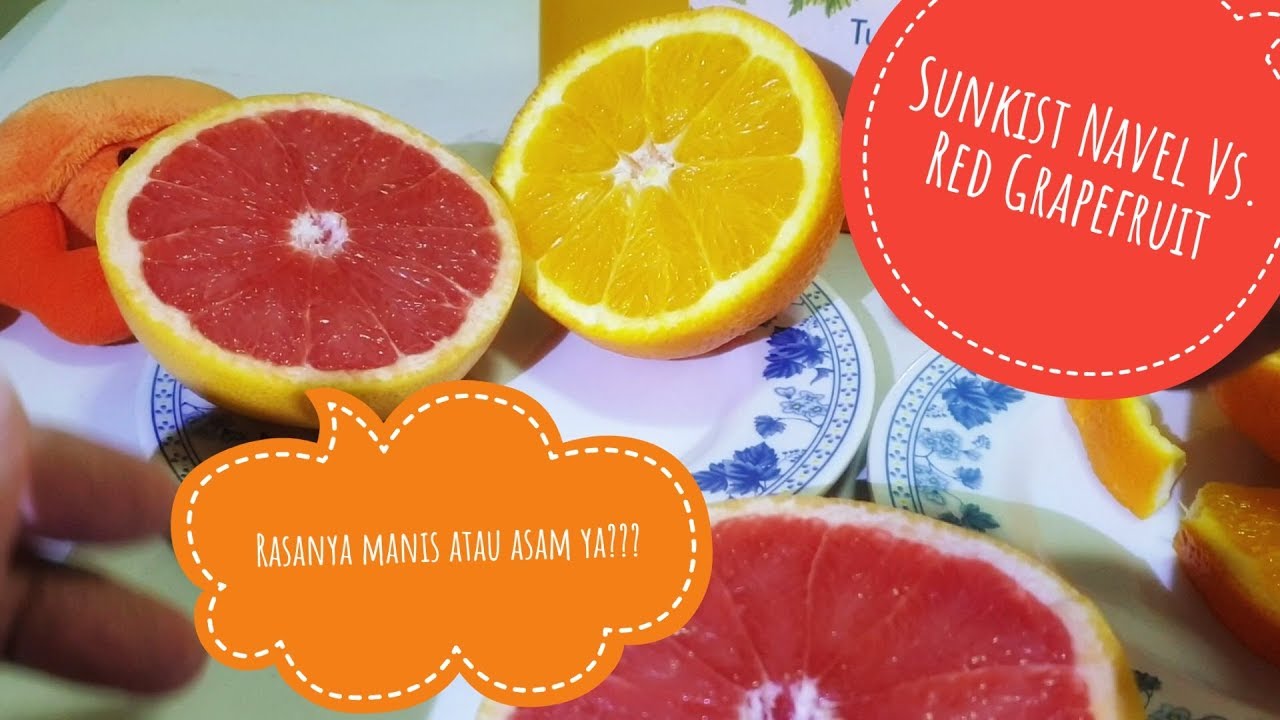 Battle Jeruk Grapefruit Vs Sunkist Navel USA