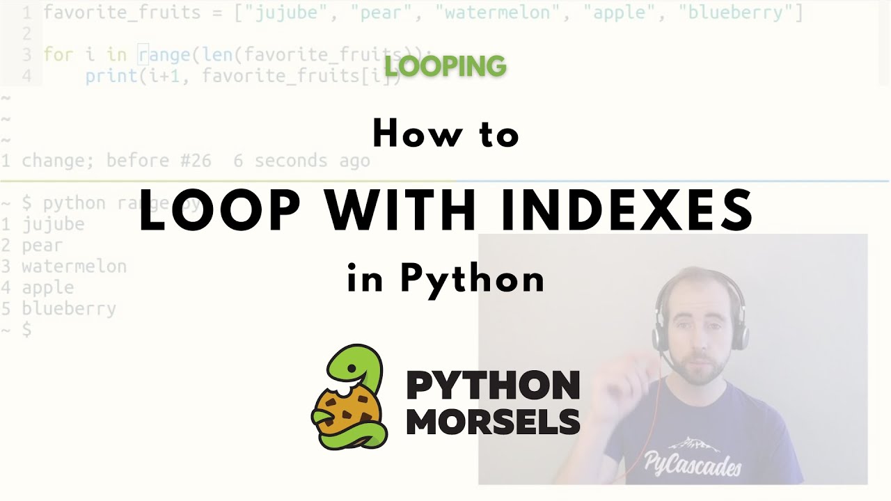 Looping with indexes in Python