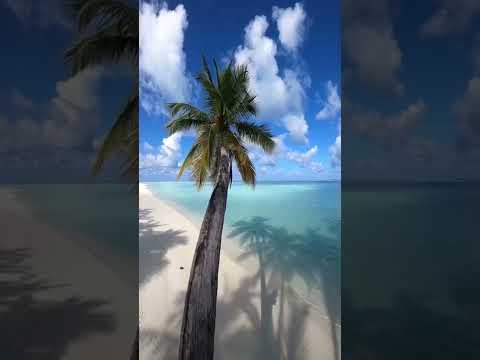 The definition of a tropical paradise ππ maldives.You Tube # Shorts