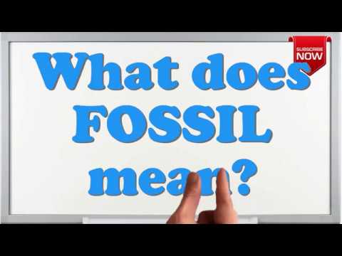 What is the full form of FOSSIL?