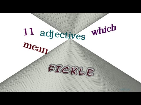 fickle - 13 adjectives which are synonyms of fickle (sentence examples)