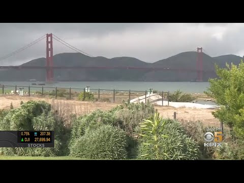 New Phase Of Building 14-Acre Park On Top Of Presidio Tunnels Commences