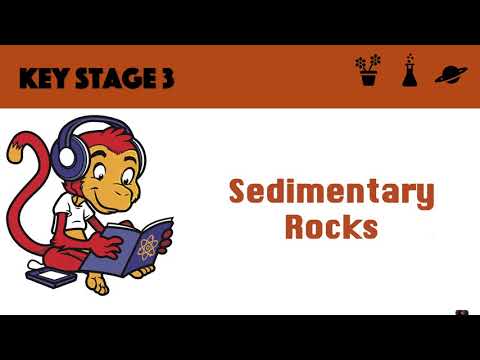 Sedimentary rocks