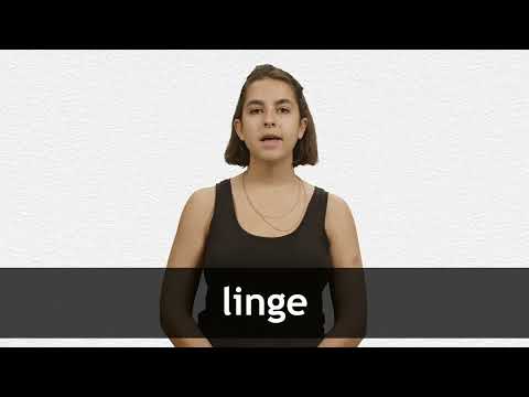English Translation of “LINGE” | Collins French-English Dictionary
