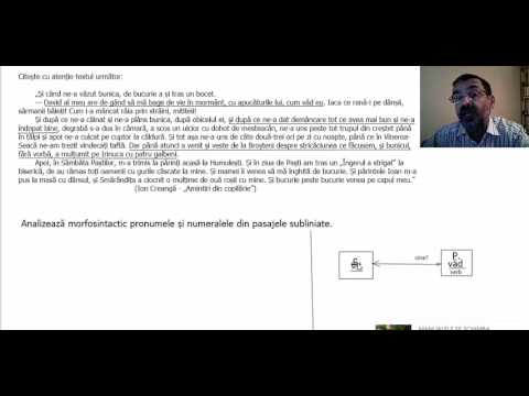 Pronumele și numeralul - test, clasa a V-a