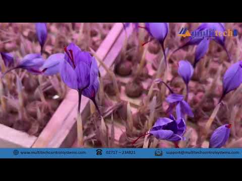 “Grow Saffron Smarter with Multitech Control Systems"
