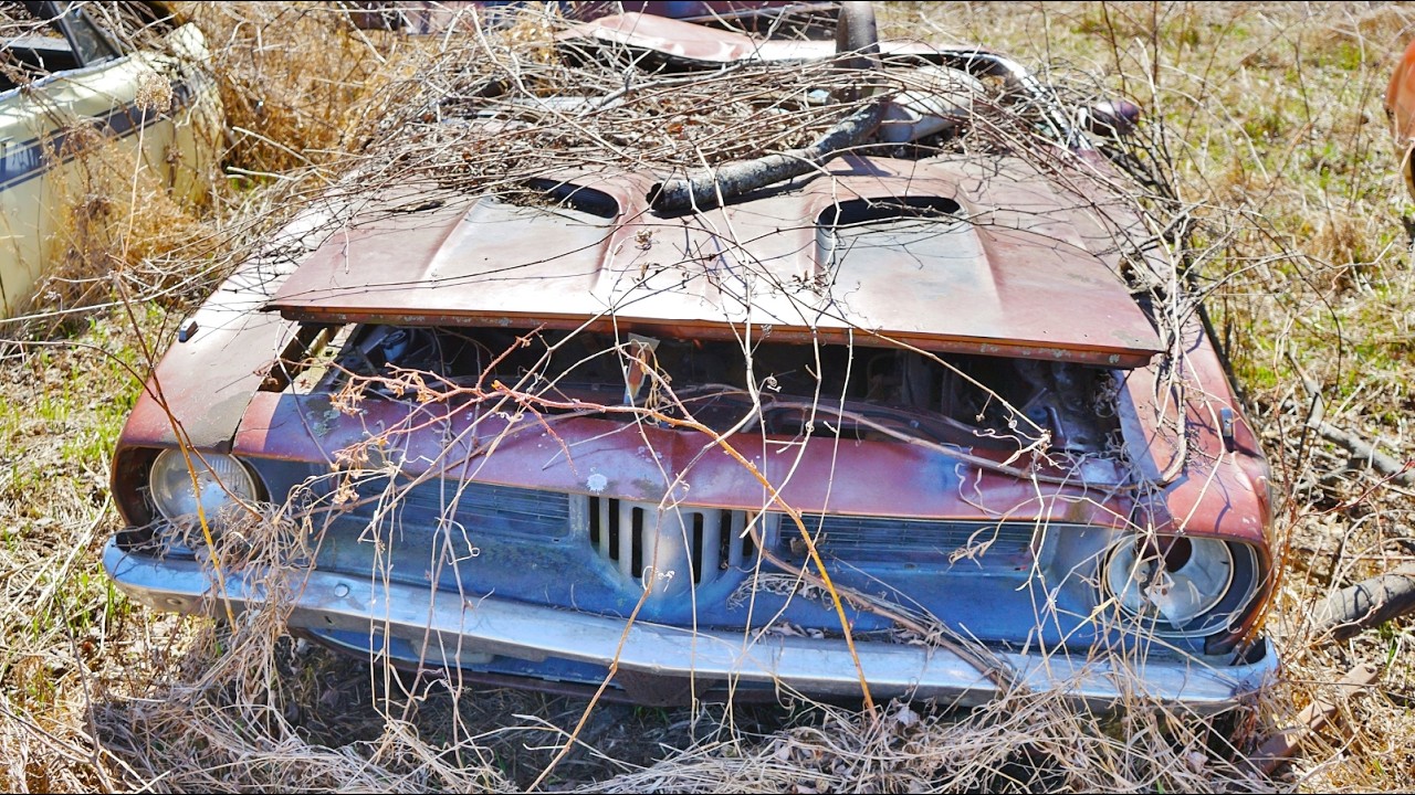 This 1970 Plymouth 'Cuda Neglected for Decades Will Make Mopar Fans Cry ...