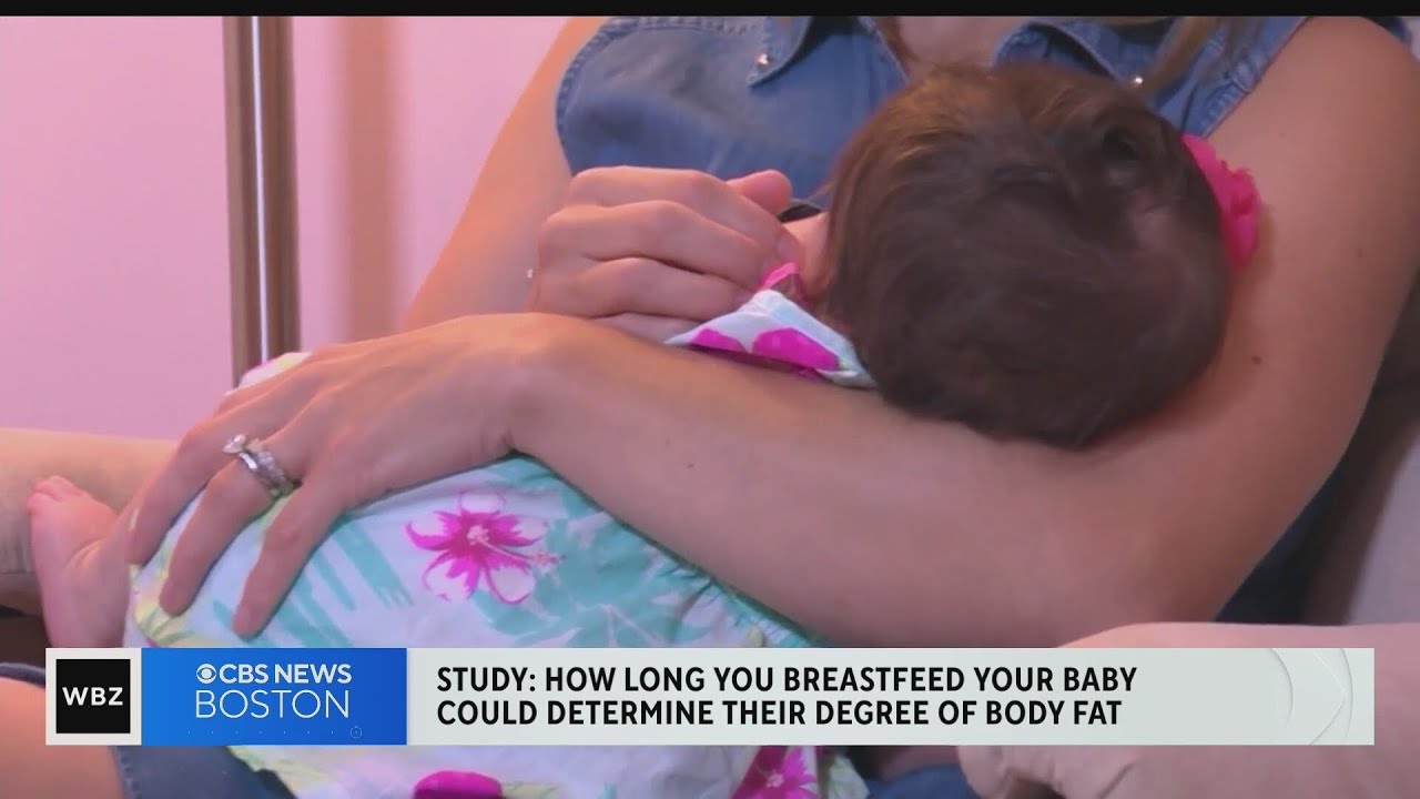 Breastfed babies less likely to be overweight children, researchers say