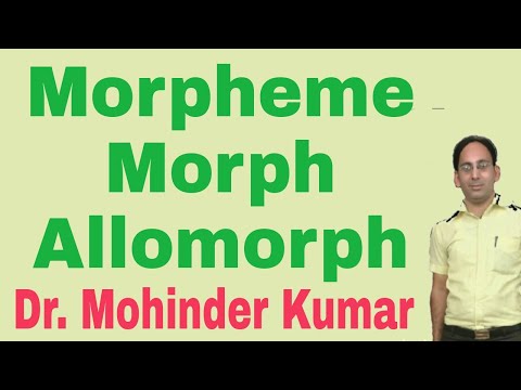 Difference Among Morpheme, Morph and Allomorph l Morphine l Morph l Allomorph l ctms family l