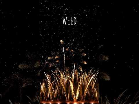 BON ANNIVERSAIRE WEED !