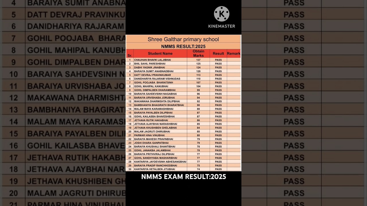 NMMS EXAM RESULT:2025