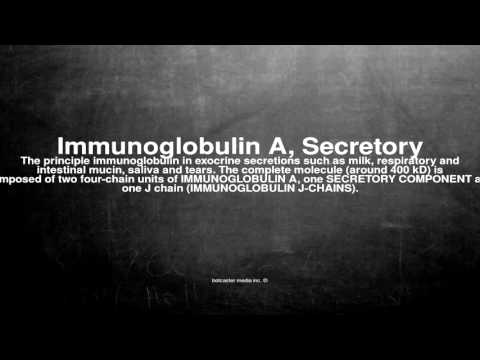 Medical vocabulary: What does Immunoglobulin A, Secretory mean