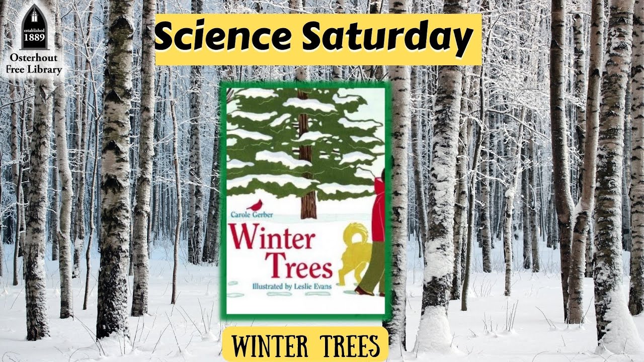 Science Saturday: Winter Trees
