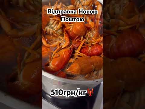 Для замовлення звʼяжіться з менеджером у вайбері+380960572236 #раки #раки #доставкараків #живірак