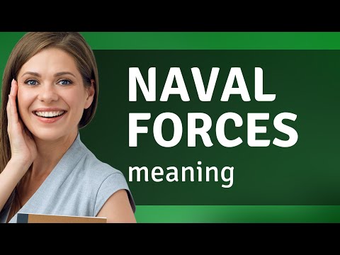 Naval forces | what is NAVAL FORCES definition
