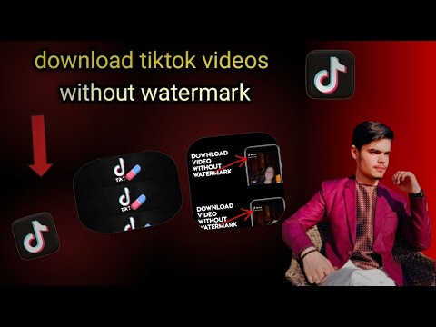 tiktok video downloader without watermark apk |best app for tiktok video download without watermark