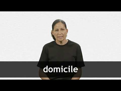 English Translation of “DOMICILE” | Collins French-English Dictionary