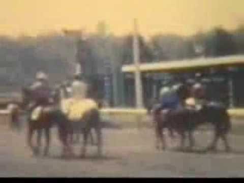 The Greatest Match Race Ever Run | HORSE NATION