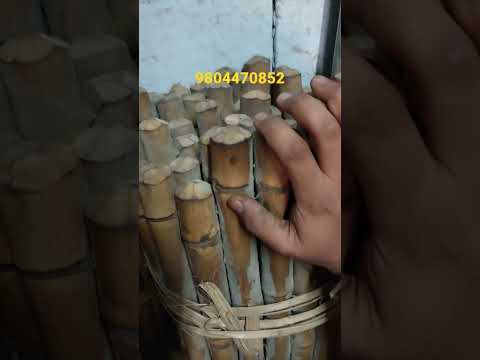 Polycarbonate Lathi - Police Danda Latest Price, Manufacturers & Suppliers