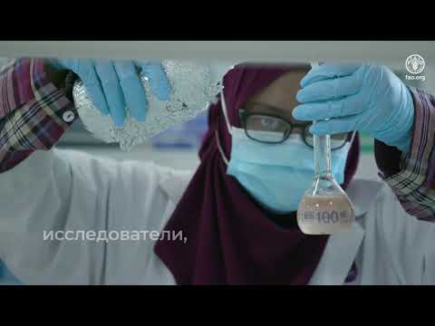 AGRIS 2.0