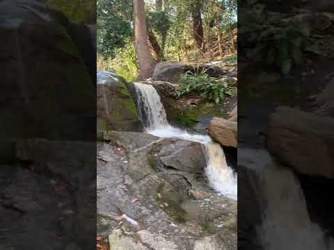 Greenville, SC: Best Kept Secret in the South!