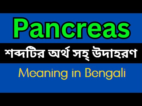 Pancreas Meaning In Bengali /Pancreas mane ki
