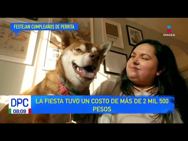 Perrita celebra su primer cumpleaños con fiesta temática de Shakira