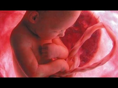 馃懚m煤sica relajante para bebes en el vientre materno #EfectoMozart para bebes por Nacer
