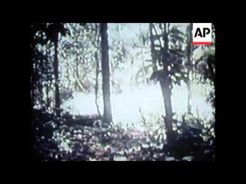 News Item (065051e4-1ca5-dc7f-f67d-4cea2c1e67b1)