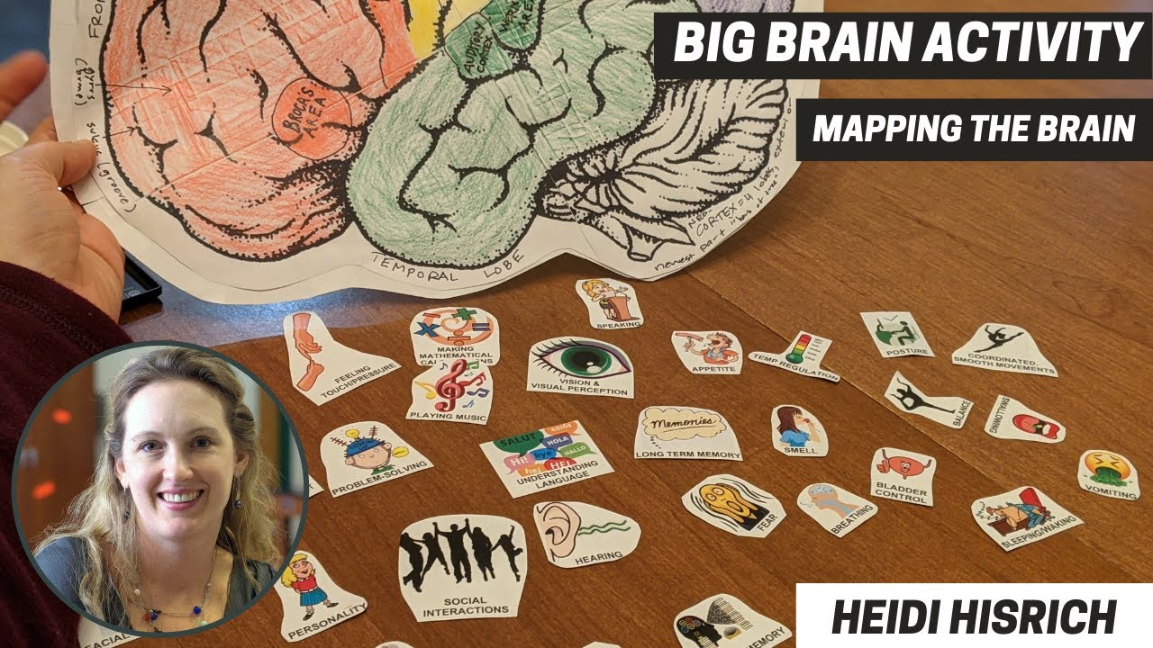 Big Brain Activity: Mapping the Brain