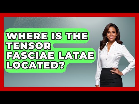 Where Is The Tensor Fasciae Latae Located? - Everyday Fitness Hacks