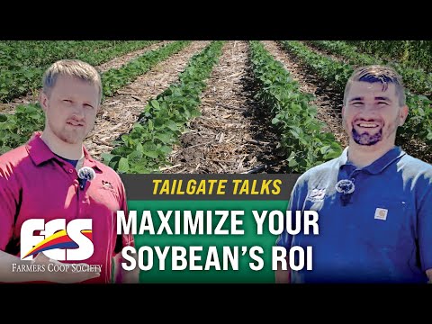 Tailgate Talks - Maximize Soybean ROI