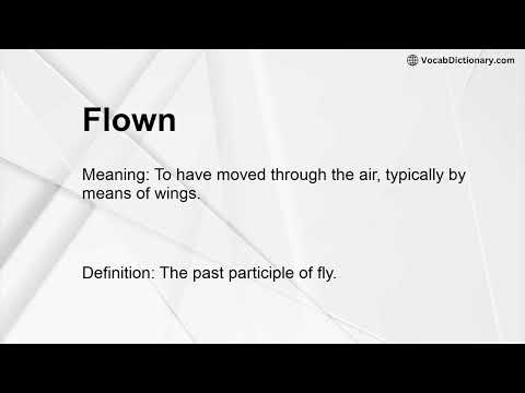 Flown Meaning