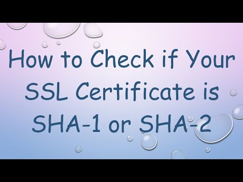 How to Check if Your SSL Certificate is SHA-1 or SHA-2
