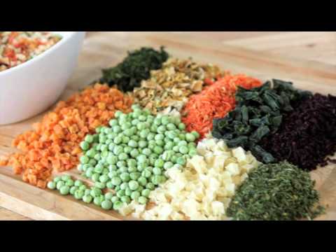Best Dog Food For Picky Eaters