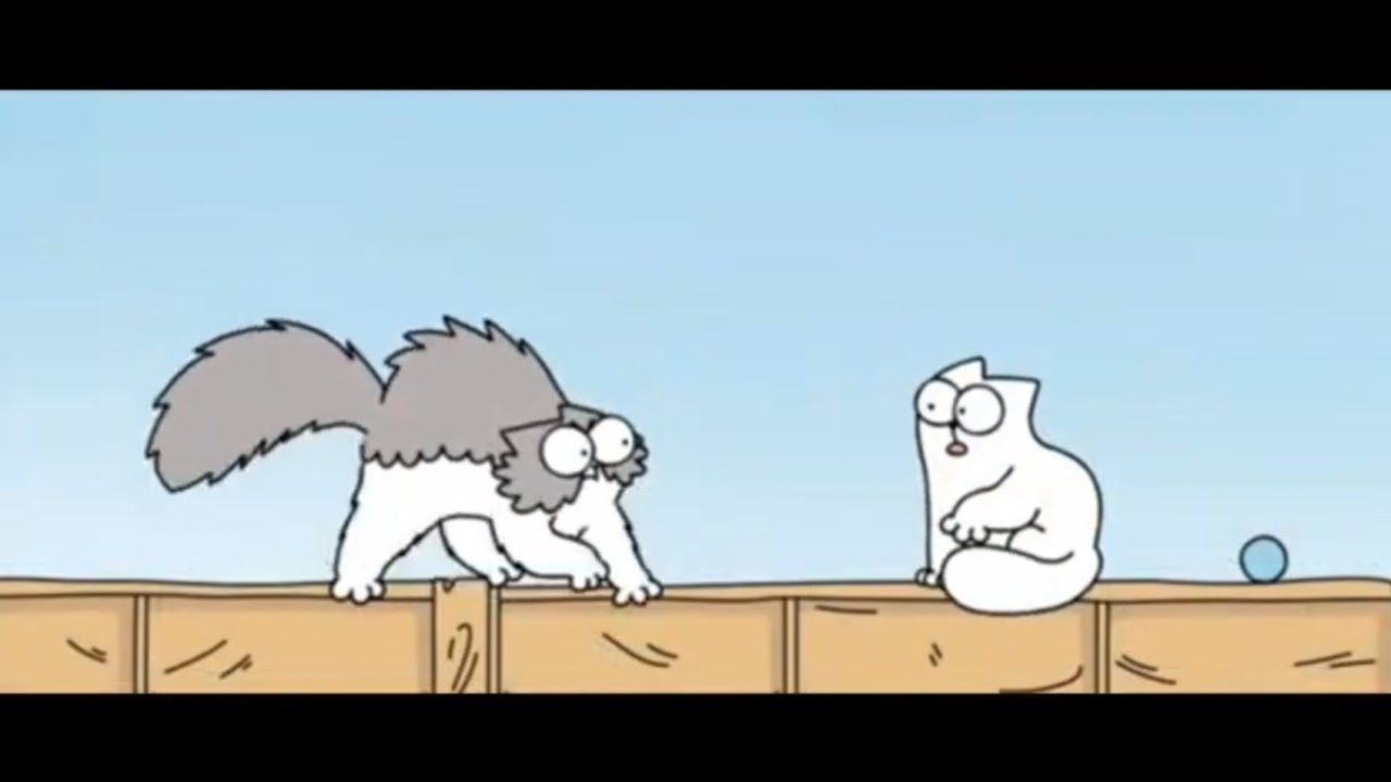 Cat and Catbox in fo rol day Cat Vs Catbox 