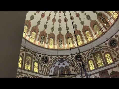 Sights & Sounds of Quran – Basira's Insights