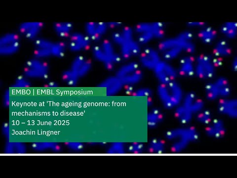 Close encounters between telomeres and TERRA long noncoding RNA