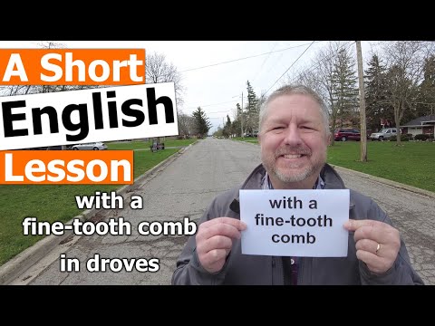 Learn the English Phrases WITH A FINE-TOOTH COMB and IN DROVES
