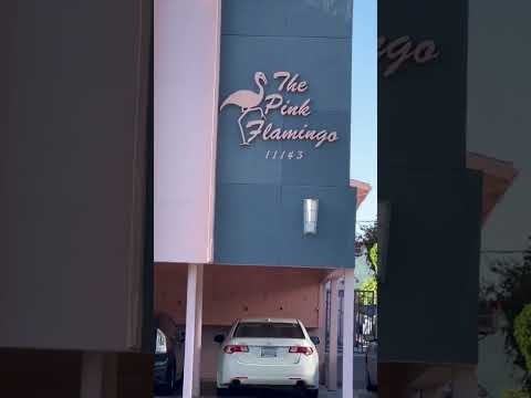 Dingbat Apartments #bestaddress #dingbats #dcrealtor #realtoroftiktok #realtor #laarchitecture