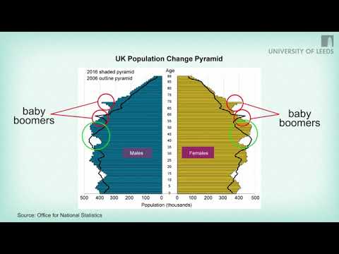 Demographic transition model and UK population pyramid