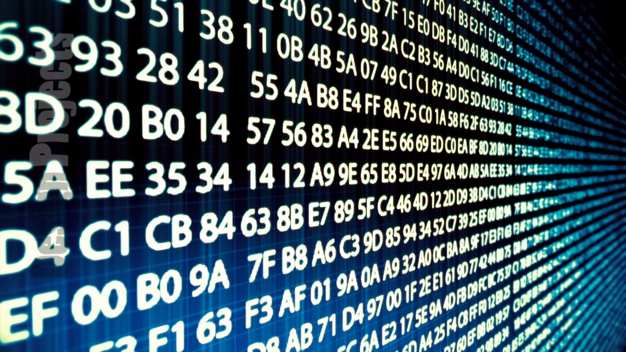 Computer code running in a cyber space. Loopable.